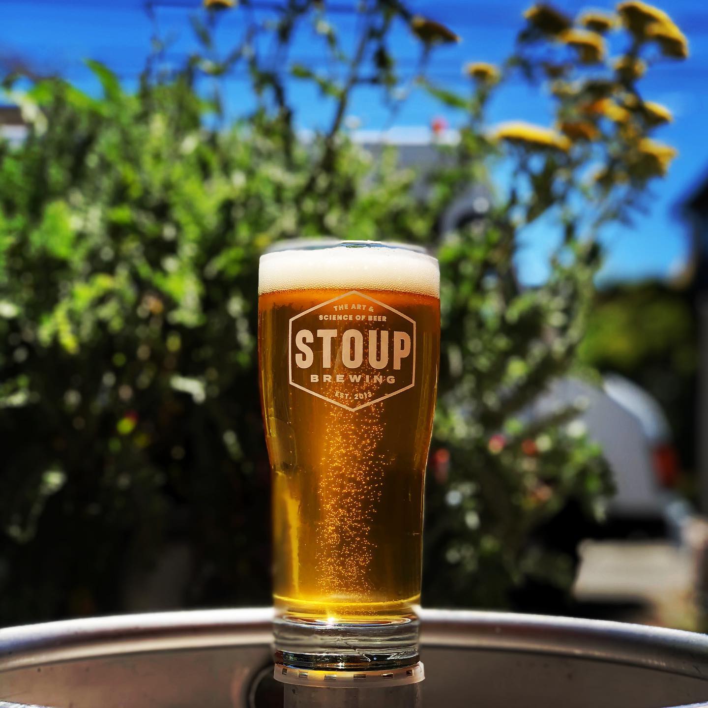 Stoup Brewing - Blindtiger Design